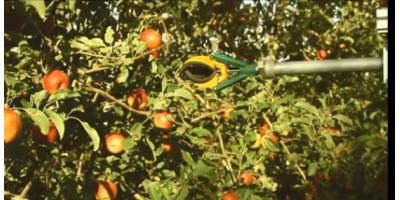 Ffrobotics Robotic Fruit Harvester