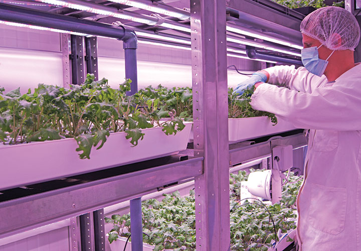 Farmlab Fully Customisable Research System