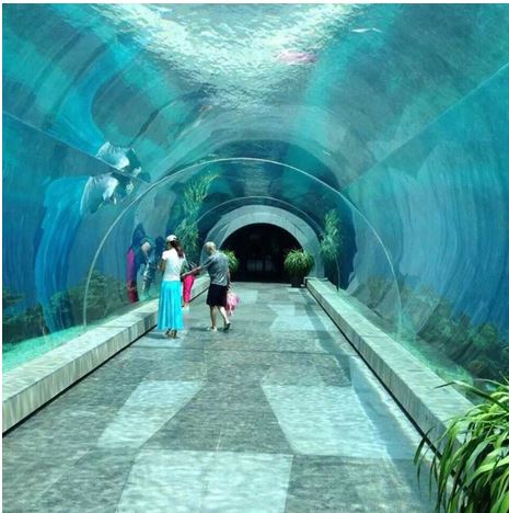 PG Acrylic - Acrylic Tunnel Aquariums - Paradise Oceanarium ...